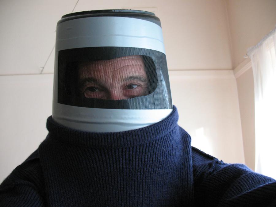 The European Wasp Man